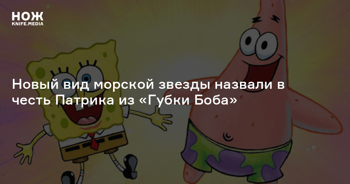 Новый вид морской звезды назвали в честь Патрика из «Губки Боба» — Нож