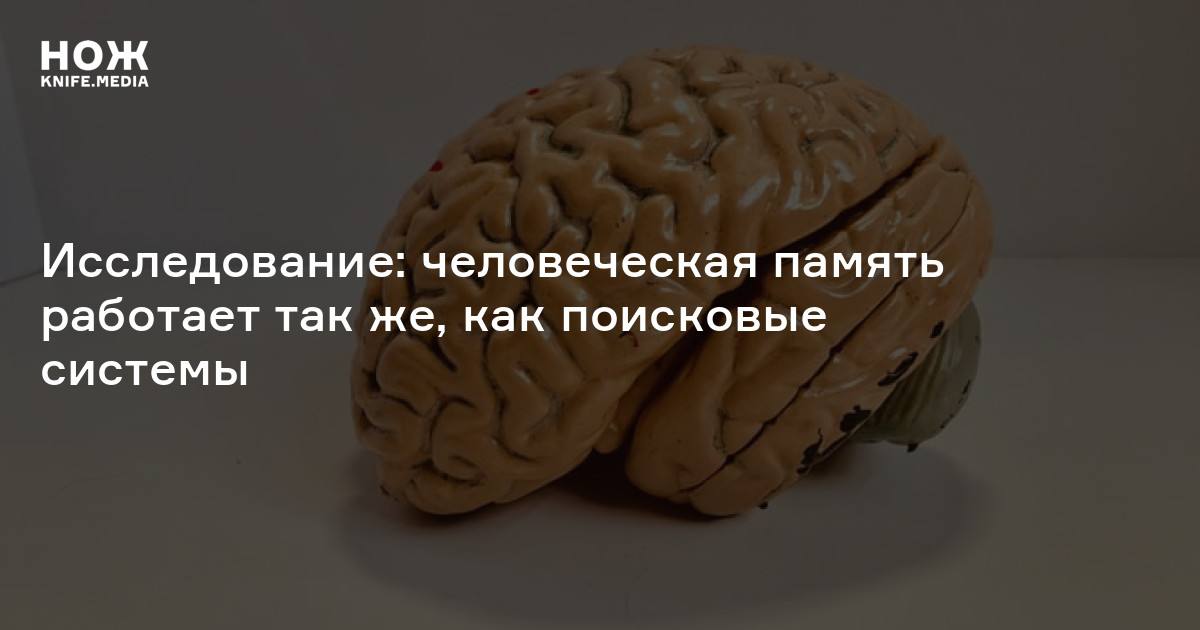 Исследование: человеческая память работает так же, как поисковые ...