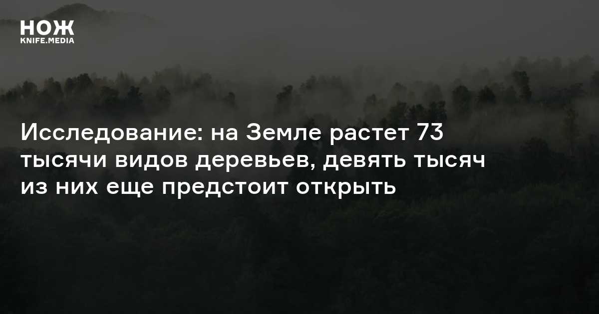 Исследование: на Земле растет 73 тысячи видов деревьев, девять тысяч из ...
