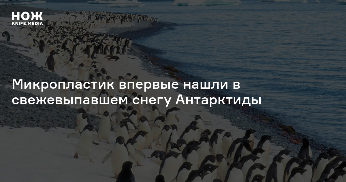 Микропластик впервые нашли в свежевыпавшем снегу Антарктиды — Нож