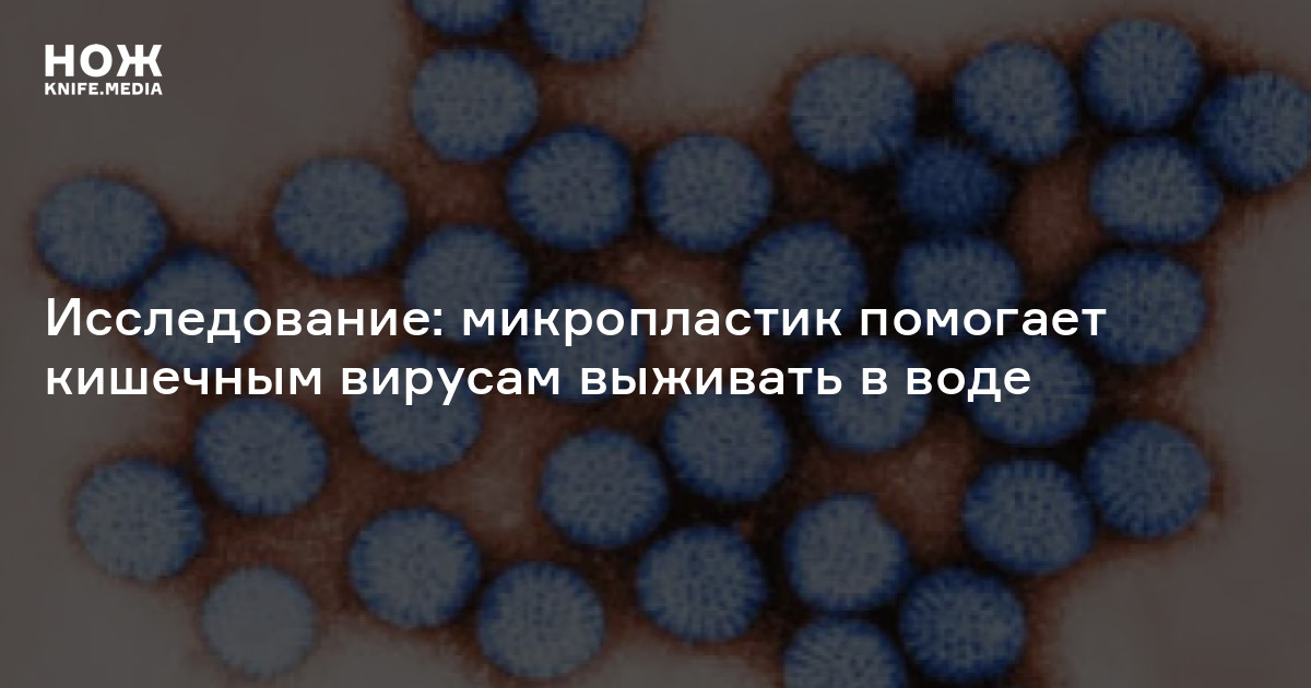 Исследование: микропластик помогает кишечным вирусам выживать в воде — Нож