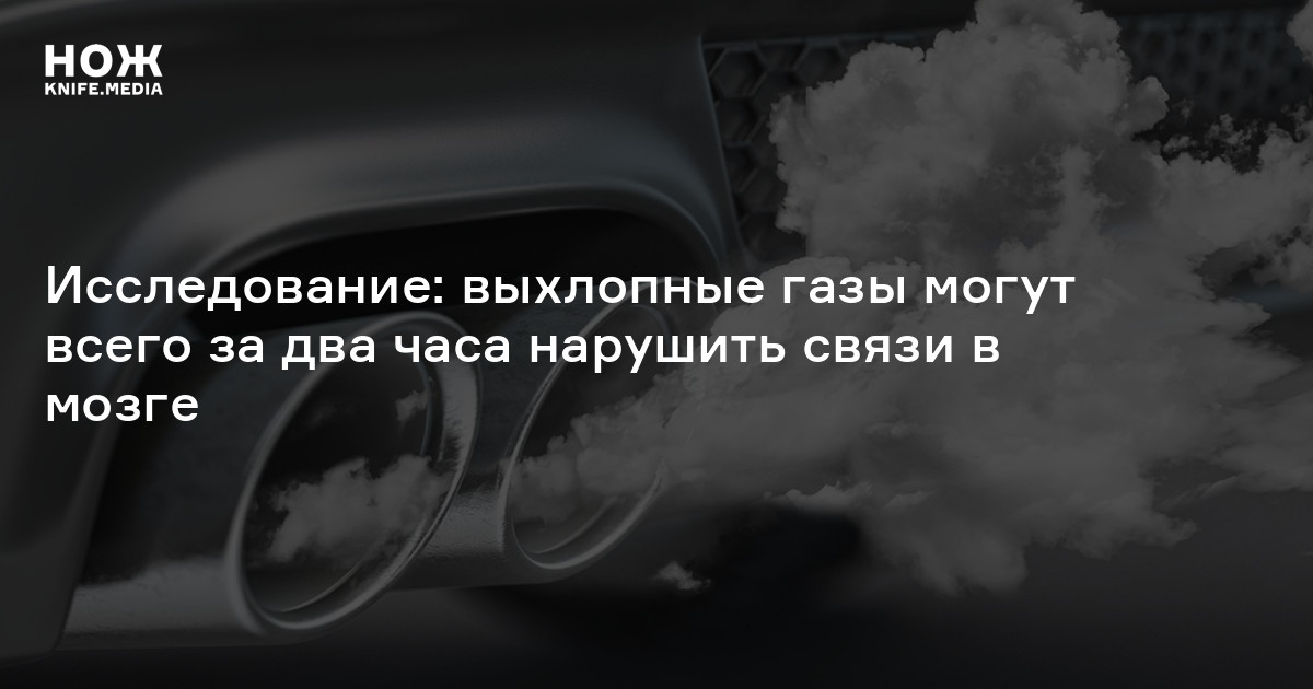 Исследование выхлопные газы могут всего за два часа нарушить связи в