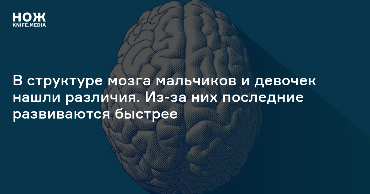 В структуре мозга мальчиков и девочек нашли различия. Из-за них ...