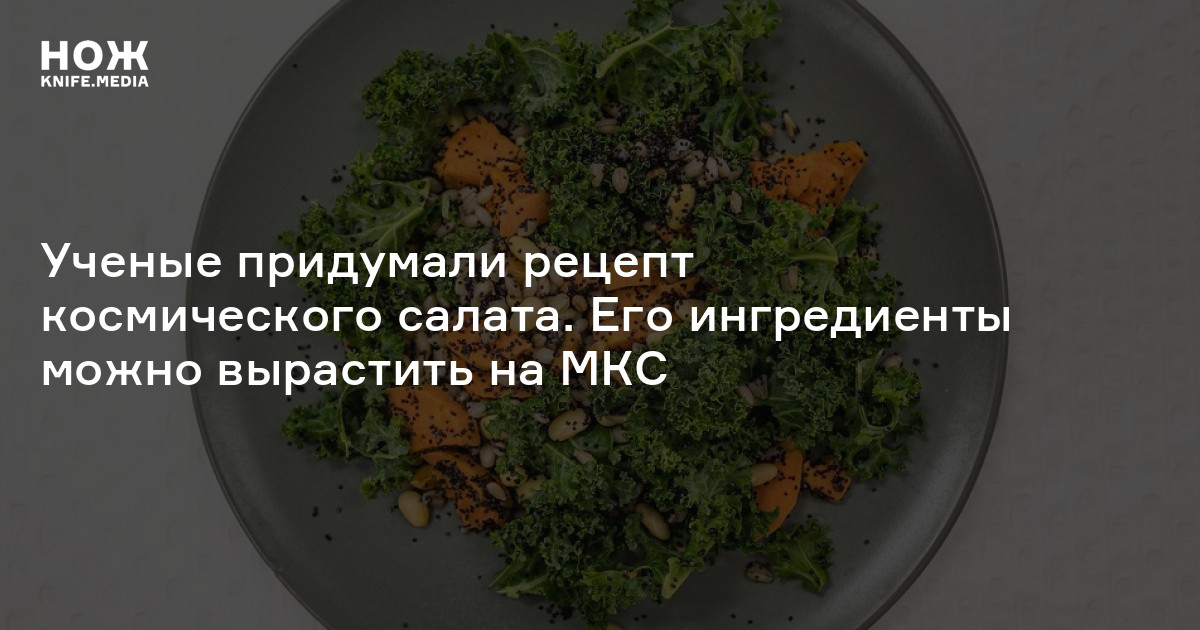 Ученые придумали рецепт космического салата. Его ингредиенты можно ...