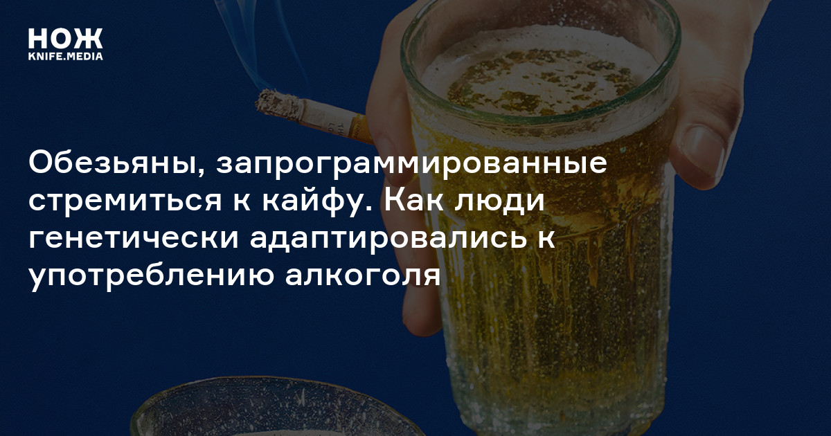 Почему мы напиваемся — Нож