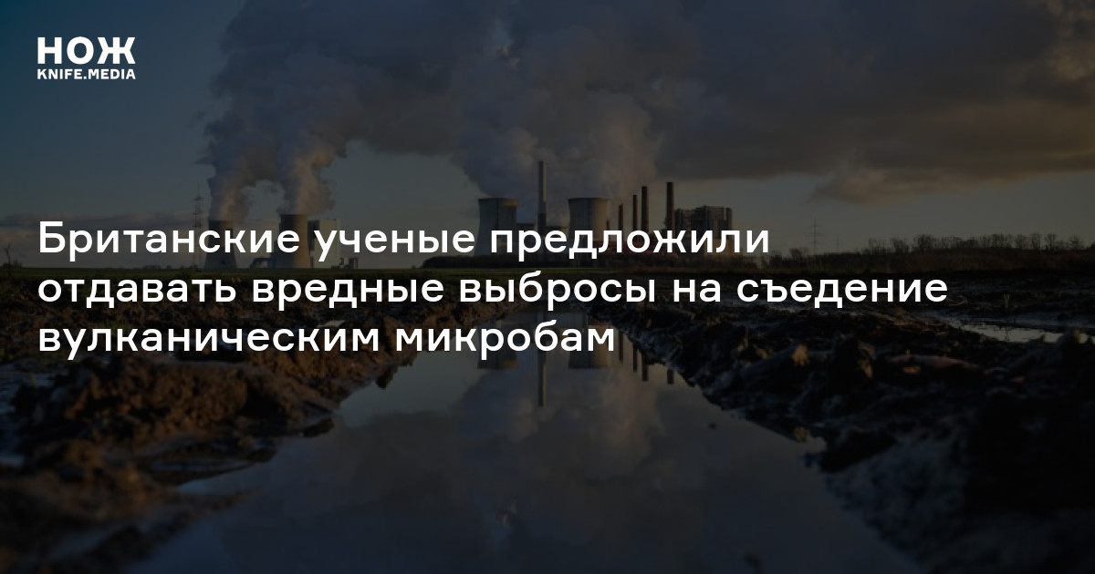 Британские ученые предложили отдавать вредные выбросы на съедение ...