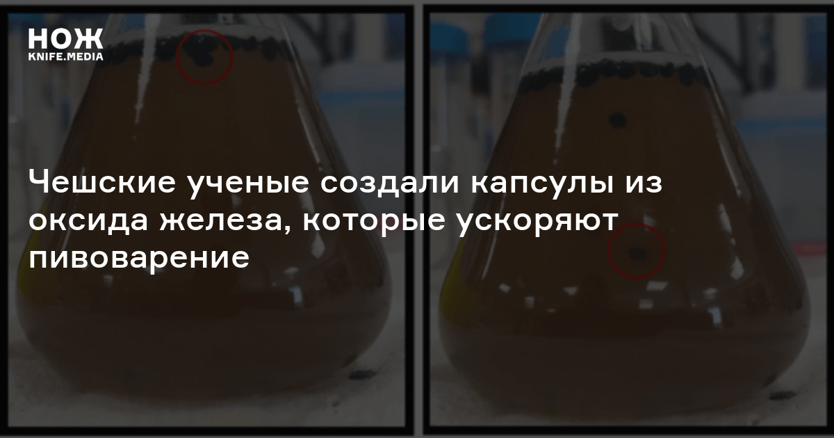 Чешские ученые создали капсулы из оксида железа, которые ускоряют ...