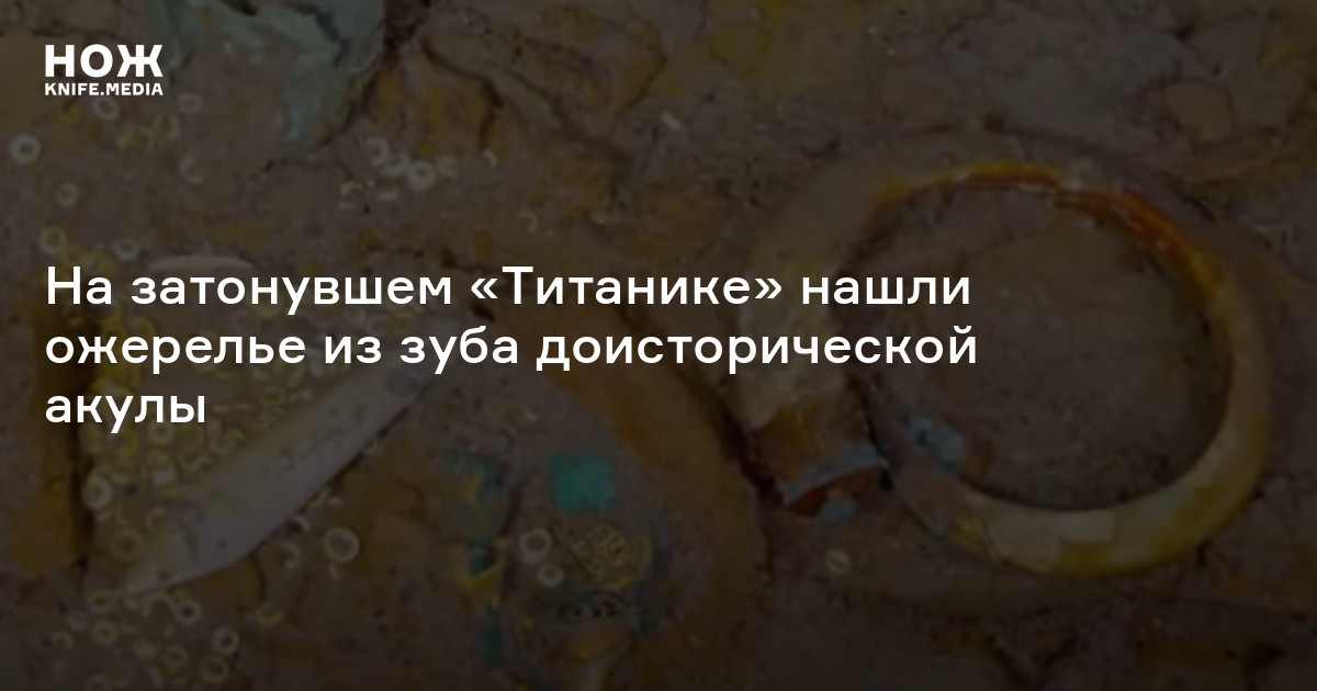 На затонувшем «Титанике» нашли ожерелье из зуба доисторической акулы — Нож