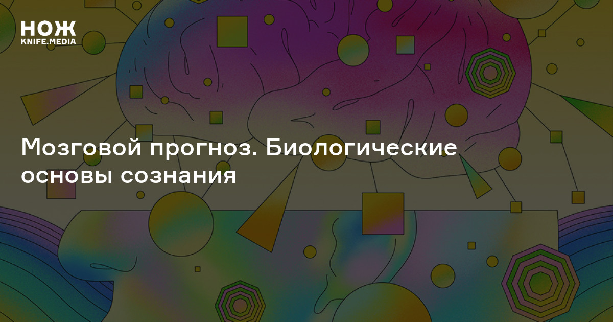 Настоящая проблема сознания — Нож