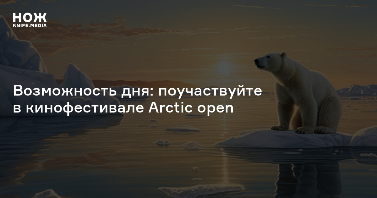 Возможность дня: поучаствуйте в кинофестивале Arctic open — Нож