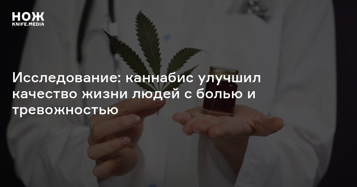 Исследование: каннабис улучшил качество жизни людей с болью и ...