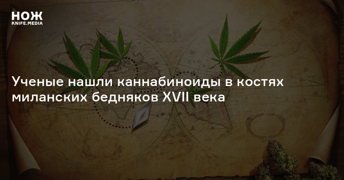 Ученые нашли каннабиноиды в костях миланских бедняков XVII века — Нож