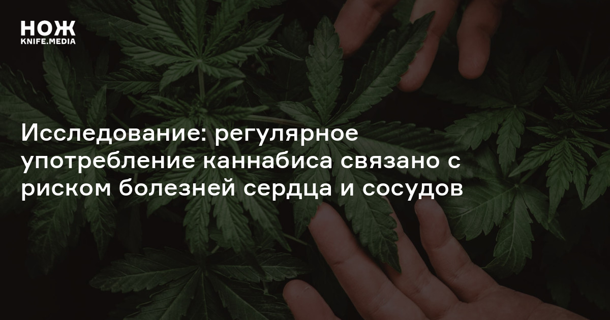 Исследование: регулярное употребление каннабиса связано с риском ...