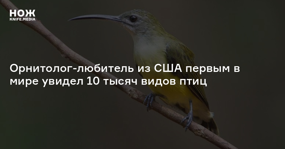 Орнитолог-любитель из США первым в мире увидел 10 тысяч видов птиц — Нож