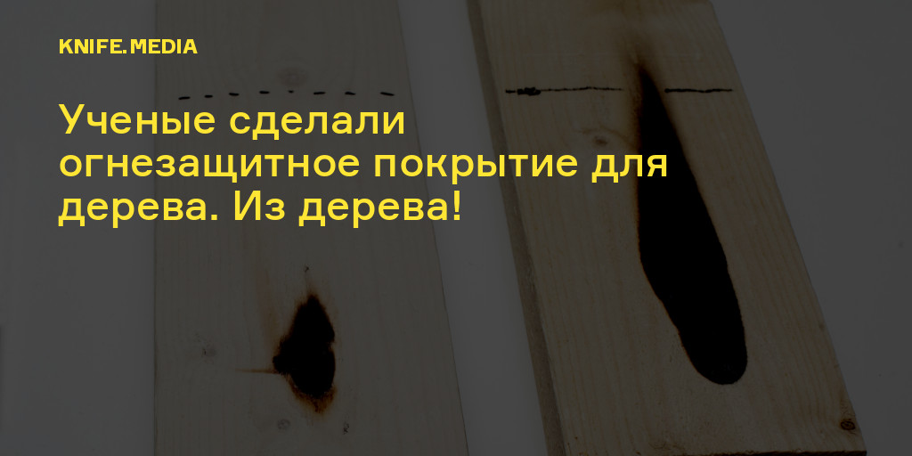 Ученые сделали огнезащитное покрытие для дерева. Из дерева! — Нож