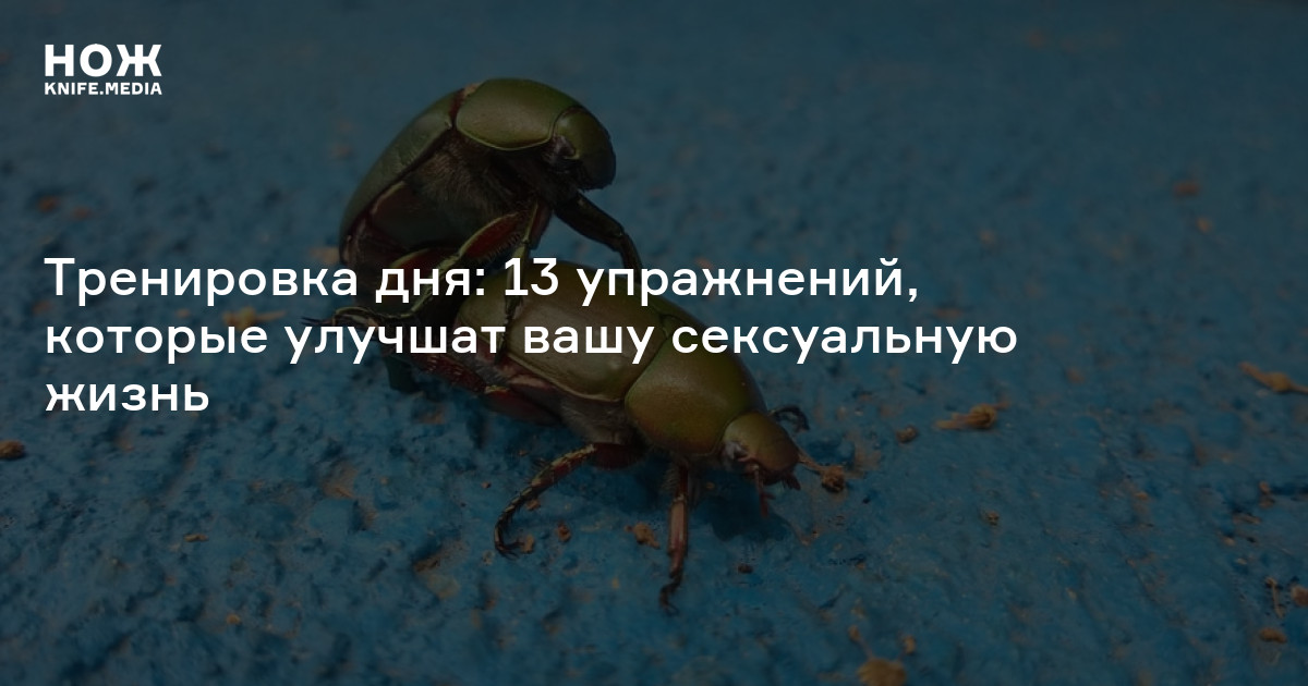 Тренировка дня 13 упражнений которые улучшат вашу сексуальную жизнь — Нож